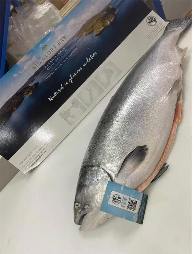 冷凍新西蘭大榮耀灣帝王鮭整條魚片/Frozen NZ Big Glory Bay King Salmon Whole Side Fillet ...