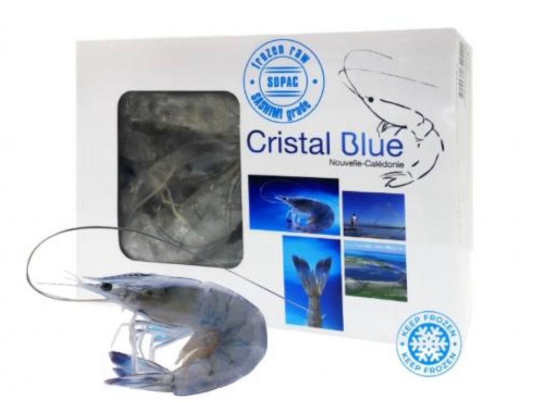 New Caledonia Cristal-blue Prawns / 法國 ASC 水晶藍蝦 1kg (21-30pc ...